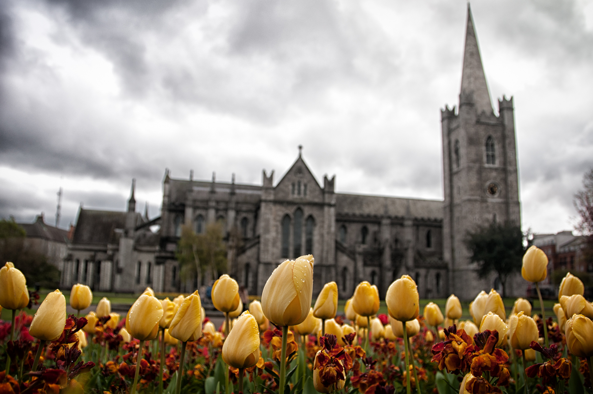 The Best English Language Schools In Dublin Ireland The Best English Language Schools In Dublin Ireland
