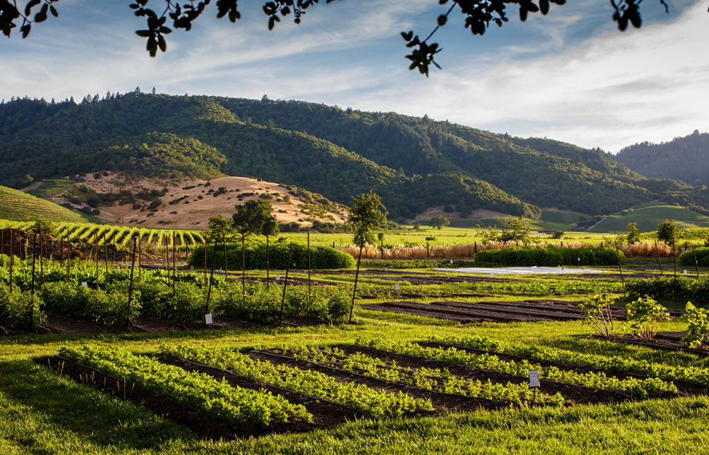 The 30 Most Charming Small Cities in the USA - Travelmag