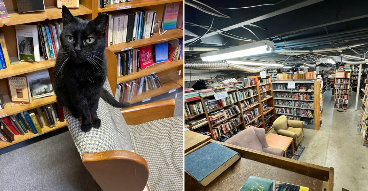 One Giant Georgia Bookstore Is Packed With Endless Treasures On Every ...