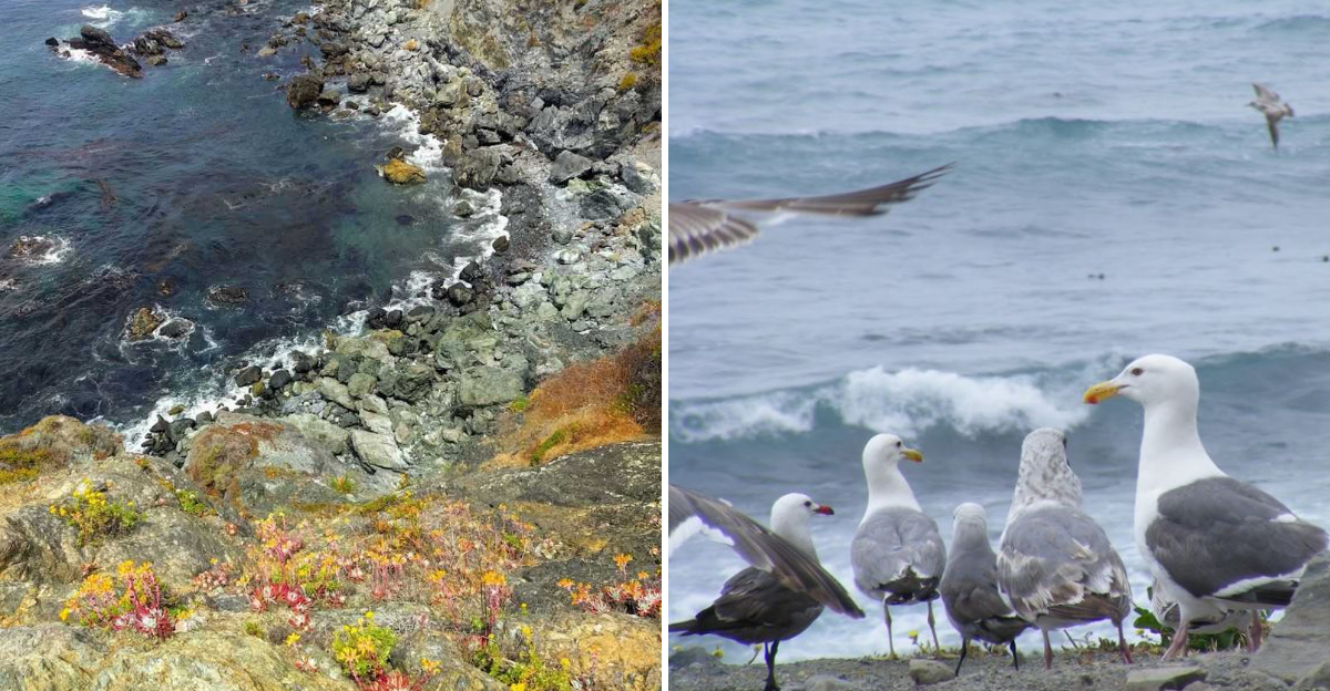 This Hidden California Beach Park Is A Dream Spot For Gemstones And ...