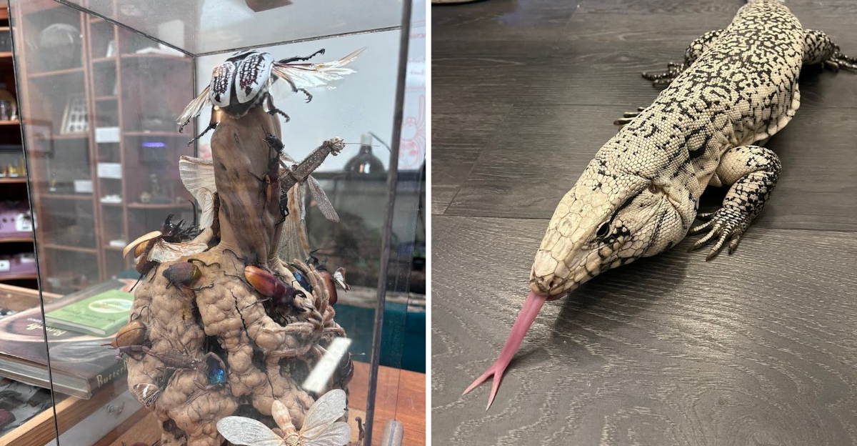 This Illinois Museum Dedicated To Bugs Is One Of The Creepiest ...