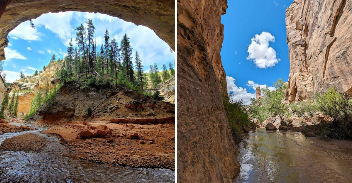 10 Utah Hiking Trails So Forgotten That Most Tourists Have No Idea They ...