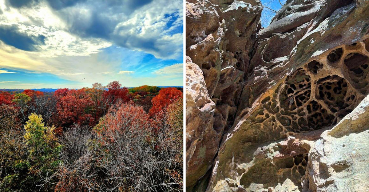 One Stunning State Park In Illinois Is Home To Massive Bluffs And ...
