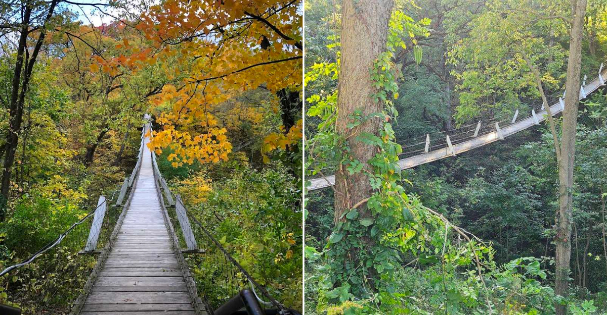 A Hidden Bridge In Iowa Offers One Of The State's Most Memorable Walks ...