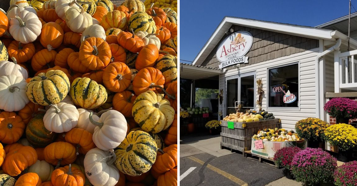 Best Amish Bulk Store In Ohio And The Reason Bargain Hunters Treat It ...