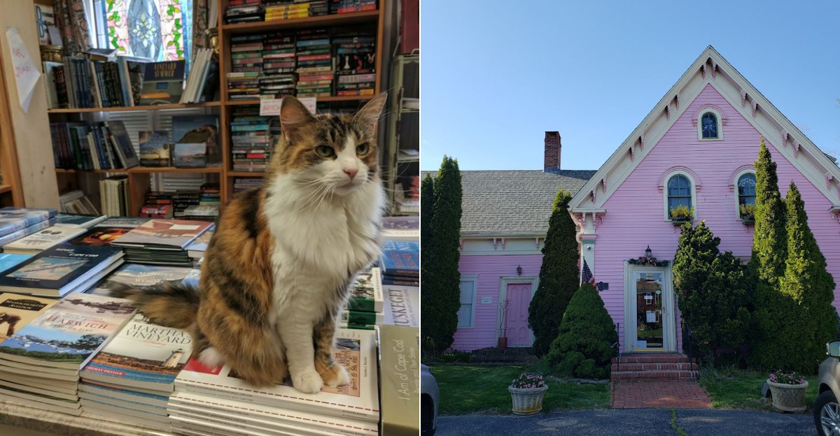 The Most Charming Massachusetts Bookshop Is Inside A 200-Year-Old Sea ...