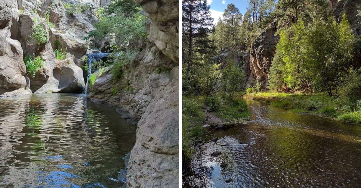 This Scenic Creek Trail Leads To A Secret Slot Canyon In New Mexico
